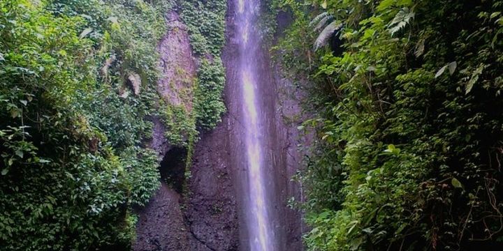 Curug Nangka Bogor, Indahnya Air Terjun di Tengah Hutan Pinus