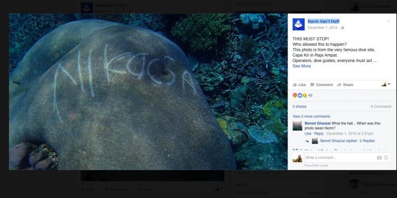 Berita Terkini Harian Kasus Raja Ampat Terbaru Hari Ini - Kompas.com