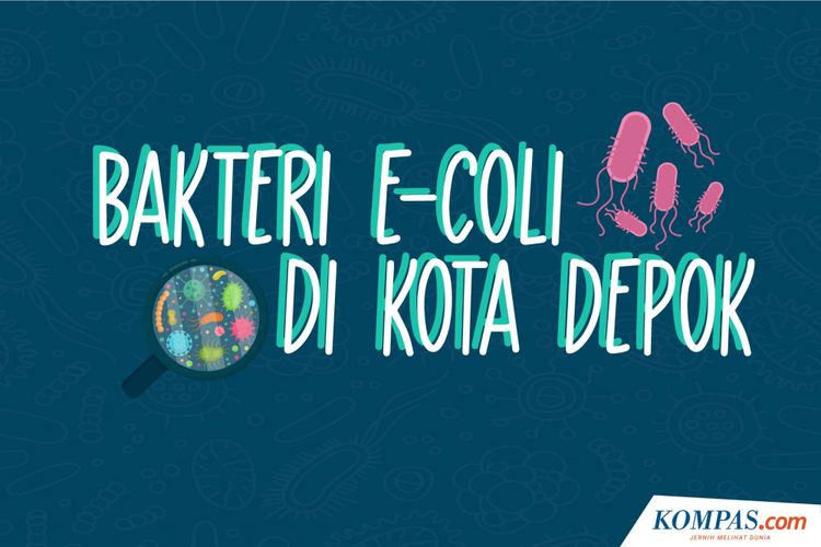 Foto : INFOGRAFIK: Maraknya Penyakit akibat Bakteri E-Coli di Depok