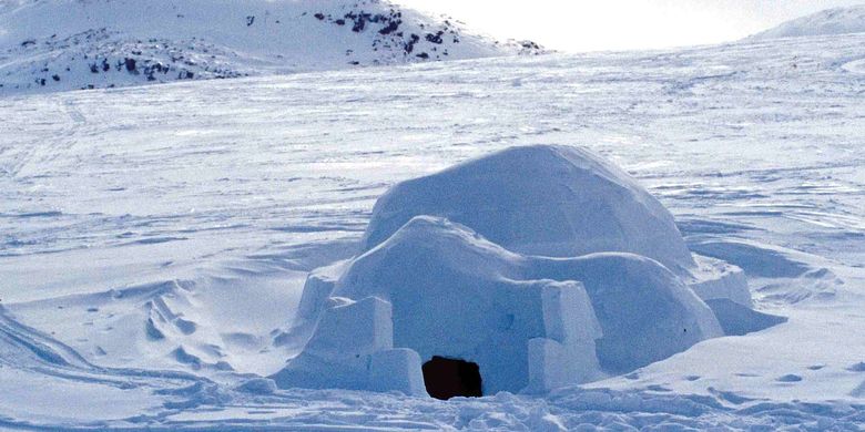 Berita Harian Asal Usul Igloo Terbaru Hari Ini - Kompas.com