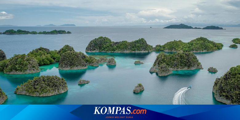 Profil Lengkap 4 Pemilik Tambang Nikel di Raja Ampat