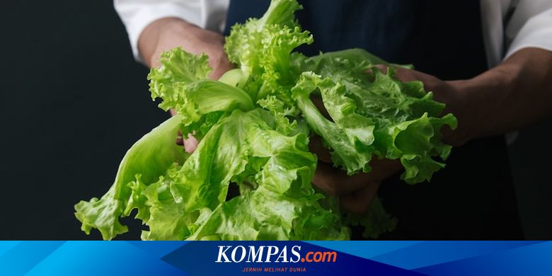 Cara Simpan Selada agar Tidak Cepat Hitam, Tetap Segar, dan Hijau