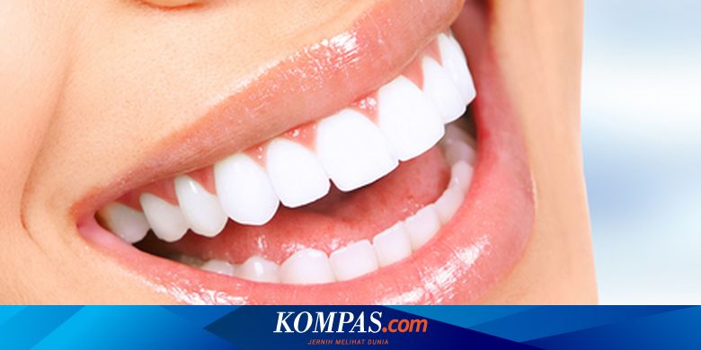 Jenis-jenis Gigi dan Fungsinya