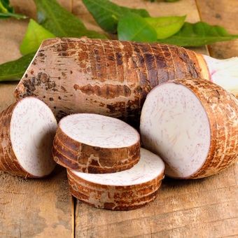 Cara Budidaya Talas Beneng yang Bisa Ditanam di Kebun Rumah