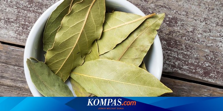 5 Cara Simpan Daun Salam agar Awet