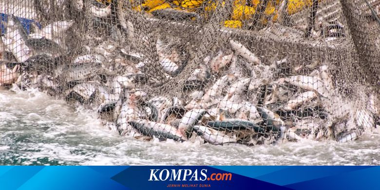 Penjala Ikan Tenggelam di Muara Pantai Selatan Cianjur