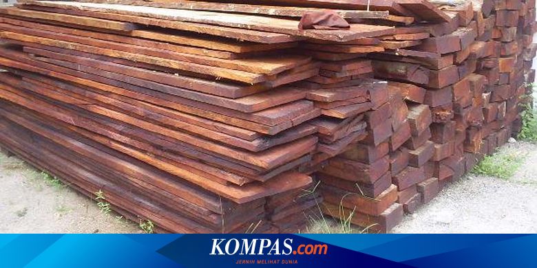 Oknum Polisi Kembangkan Usaha Kayu Bayam