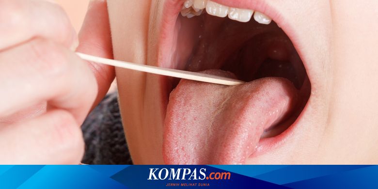 Kenali Apa itu Amandel, Fungsi, dan Penyakit yang Biasanya Menyerang