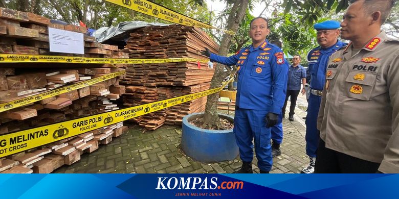 Hendak Dikirim Ke Surabaya Penyelundupan Kayu Meranti Digagalkan Di