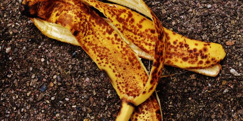 [KLARIFIKASI] Bintik Hitam pada Kulit Pisang Mengandung TNF