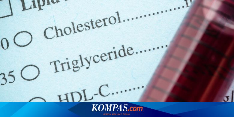 9 Penyebab Trigliserida Tinggi tapi Kolesterol Normal