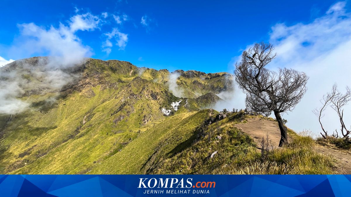 Pendaki Hilang di Gunung Merbabu Ditemukan Meninggal di Jurang