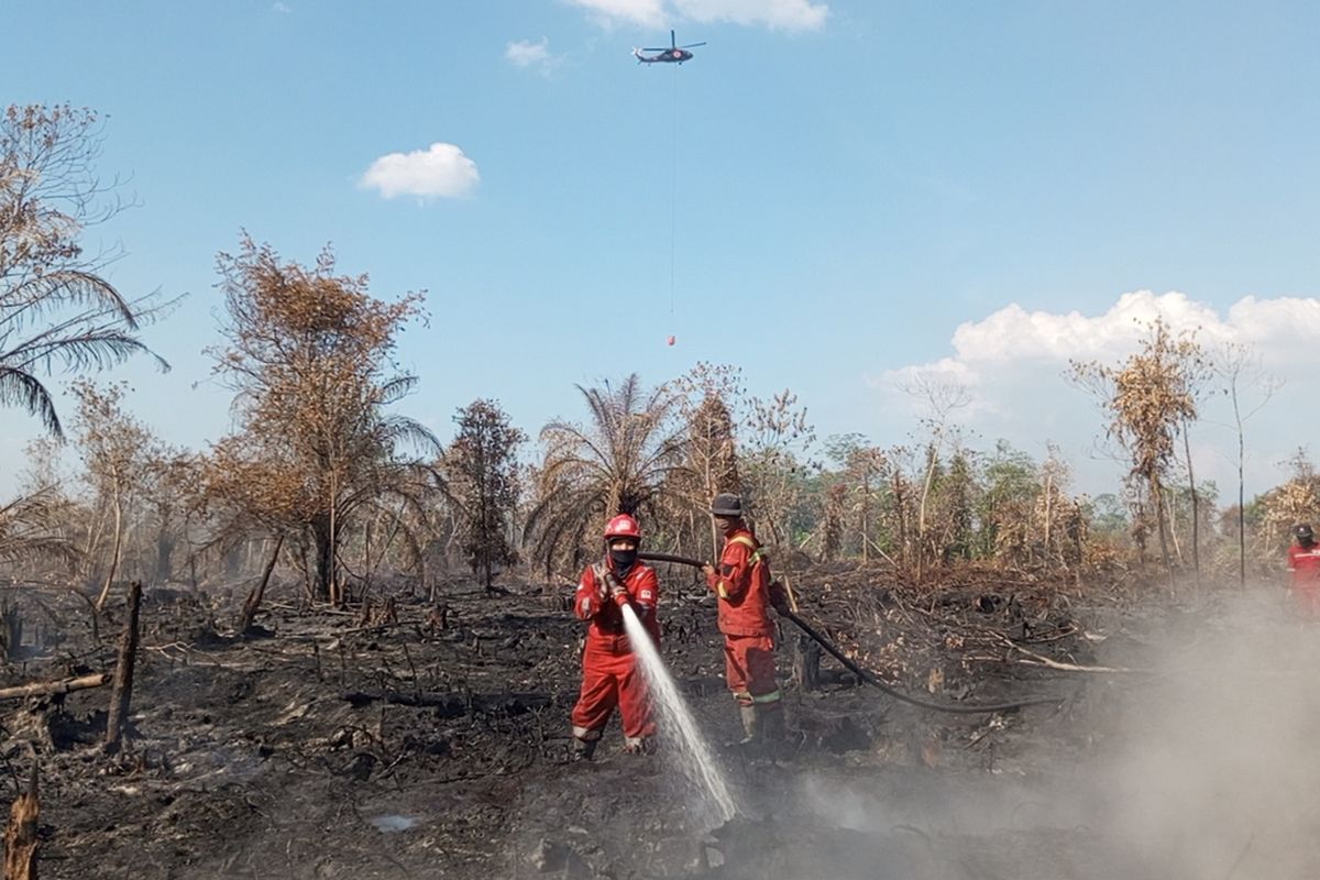 Pemadaman Kebakaran Hutan di Kampar Riau, Tim Gempur Api dari Darat dan Udara