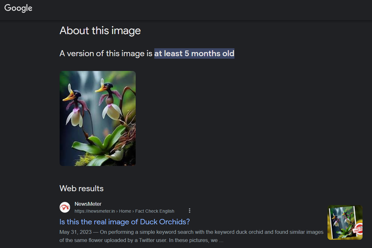Cara Mengetahui Gambar AI atau Bukan, Menggunakan Alat Google