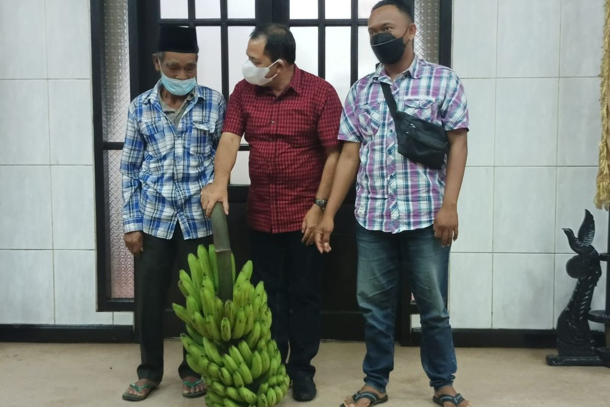 Kala Setandan Pisang Jadi Wujud Terima Kasih Warga Korban Erupsi Semeru...