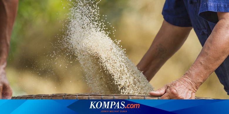 Beras Penyumbang Terbesar Inflasi di Bangka Belitung