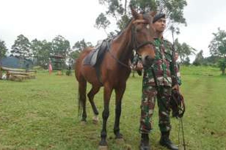 Melihat Pelatihan Kuda Perang di Bandung Barat
