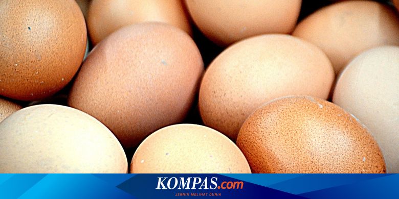 JAPFA Ekspor 460.800 Telur Tetas ke UEA