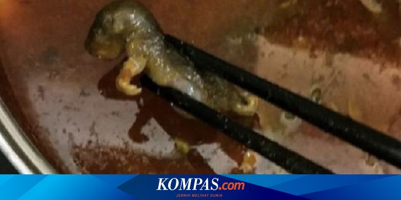 Bangkai Tikus Dalam Sup, Restoran Ini Merugi hingga Rp 2 Triliun