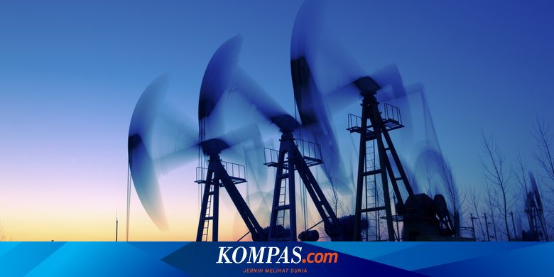 Tren dan Tantangan Pasar Energi Global 2024