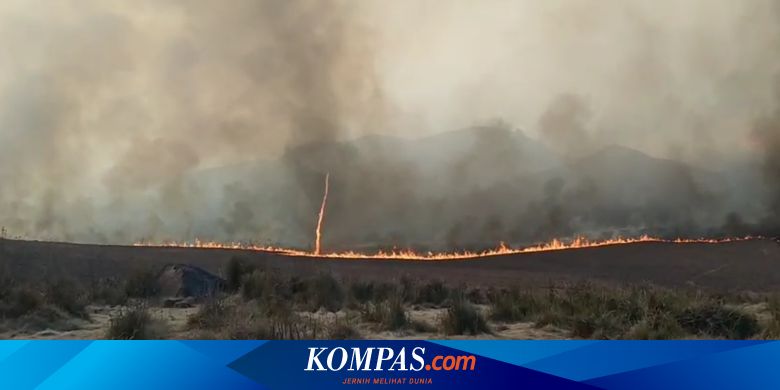Tornado Api Muncul di Tengah Kebakaran Bukit Sabana Gunung Bromo