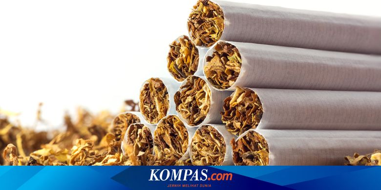 Efek Nikotin Bisa Mengendap hingga Tiga Generasi, Begini Penjelasannya