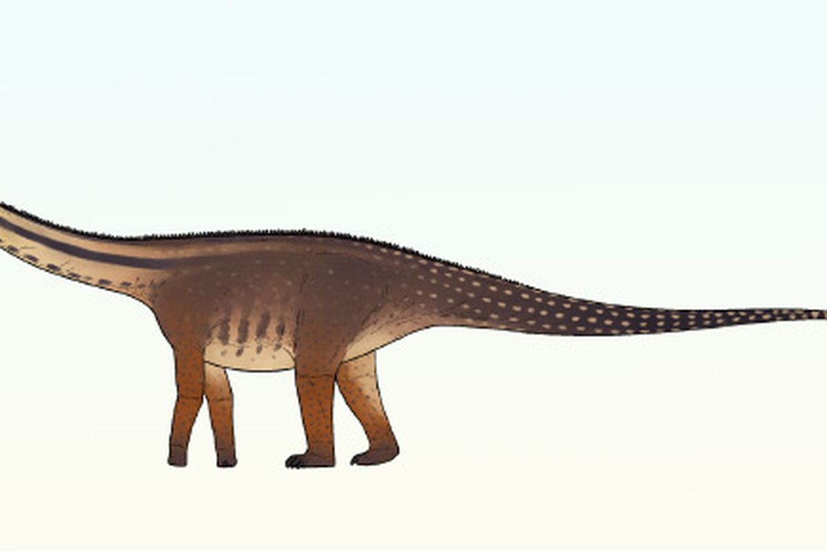 Penemuan Fosil Dinosaurus Ungkap Jenis Sauropoda Baru Bergigi Unik