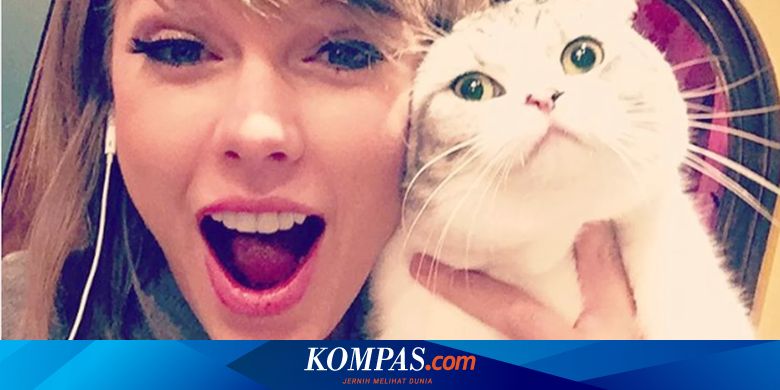 12 Selebritas Hollywood Pecinta Kucing, Siapa Saja?