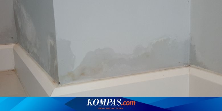 Cara Membersihkan Jamur di Dinding dan Mencegahnya Kembali