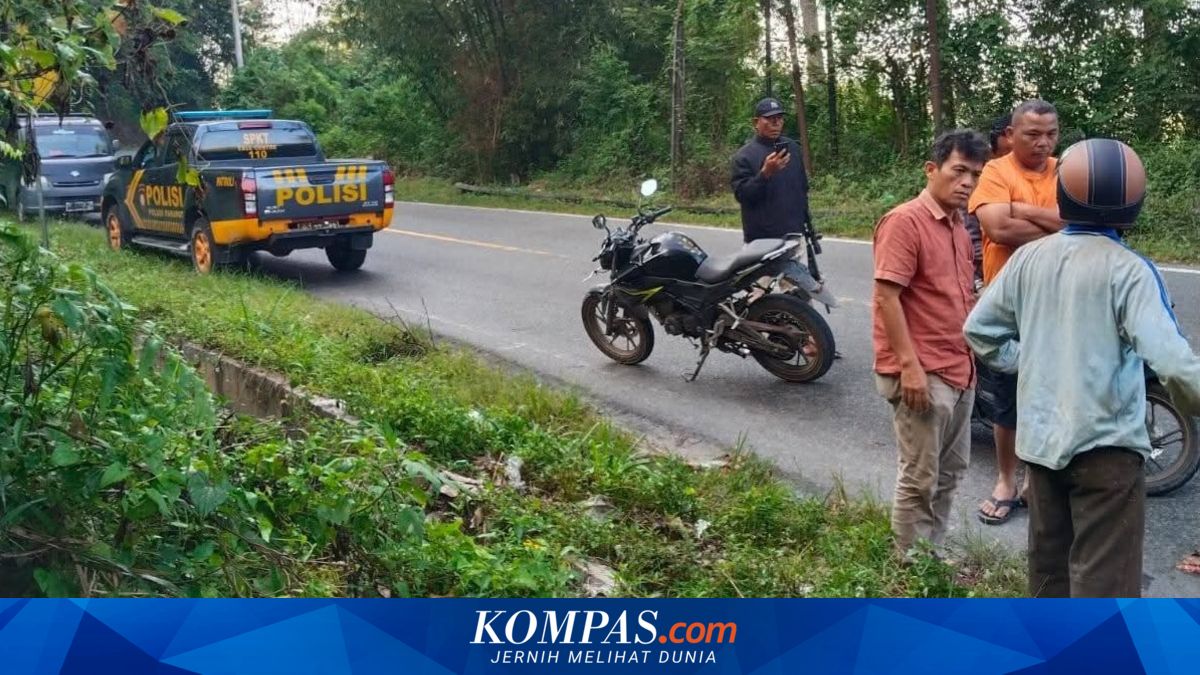 Bukan Harimau Sumatera, Hewan yang Mati Tertabrak di Girsang Ternyata ...