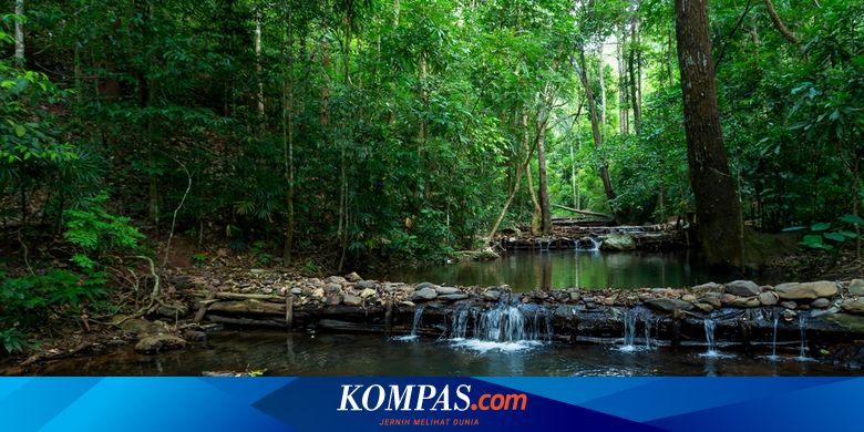 Mengenal Check Dam, Bendungan Mini yang Bisa Kurangi Erosi