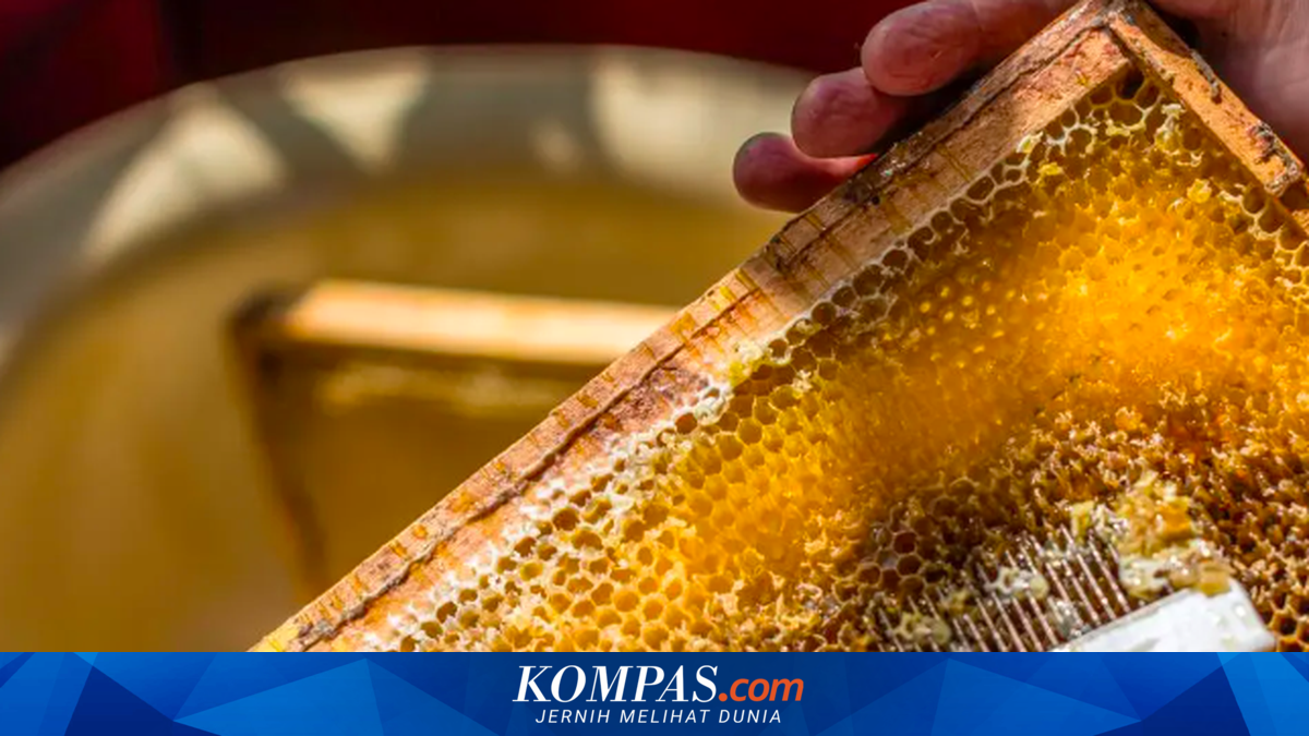 Apa Itu Mad Honey, Madu Memabukkan yang Berasal dari Nepal?