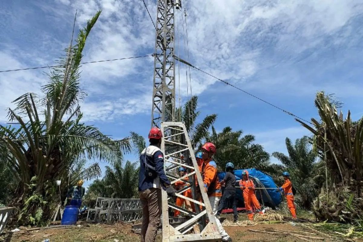 PLN Kerahkan 11 Tower Emergency Usai 12 Tower Ambruk Imbas Cuaca Ekstrem