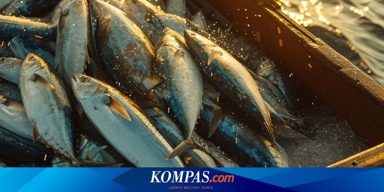 Kampanyekan Gemar Makan Ikan, 240.000 Porsi Makanan Dibagikan di Jabar