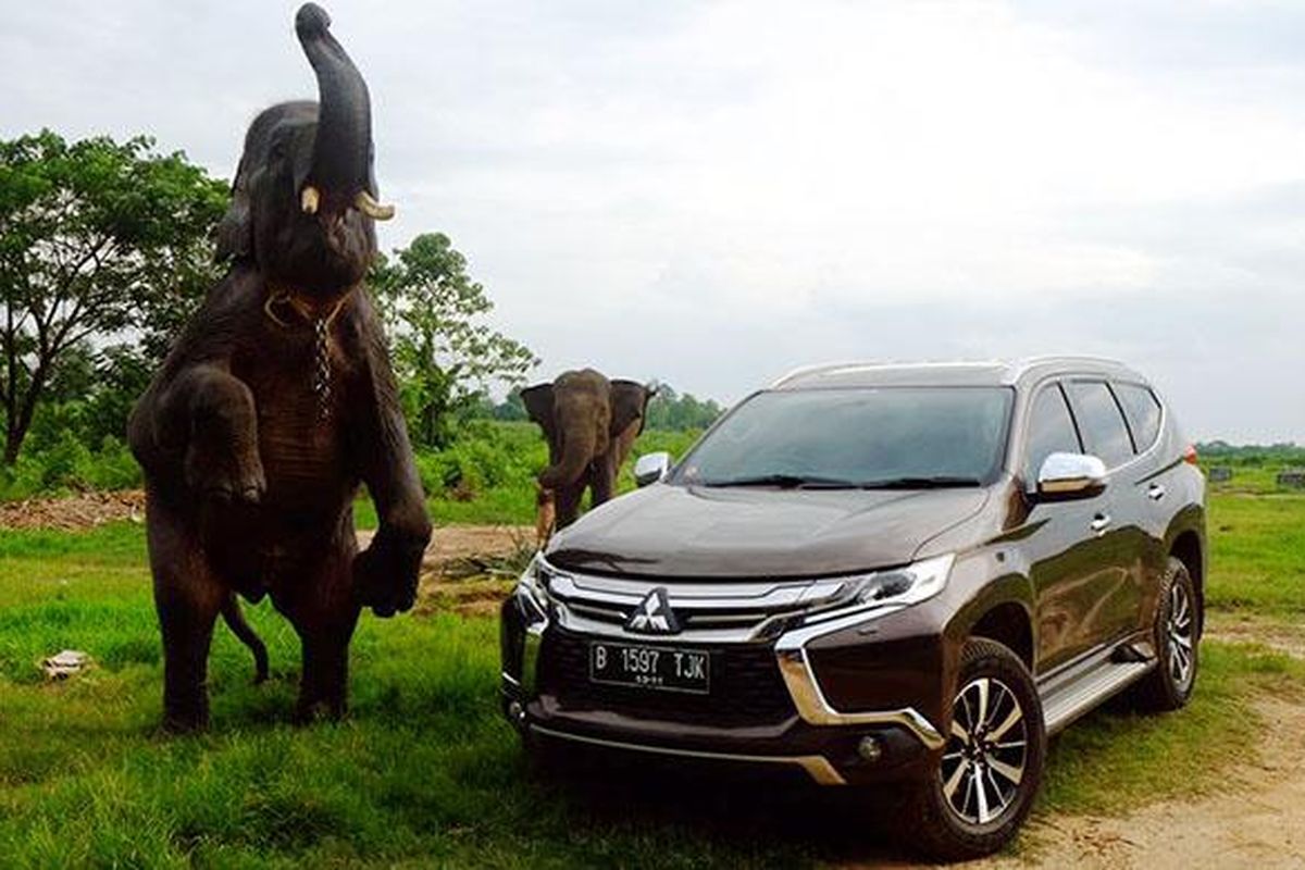 Harga SUV Ladder Frame Bekas Juli 2025, Pajero Sport dan Fortuner Rp ...