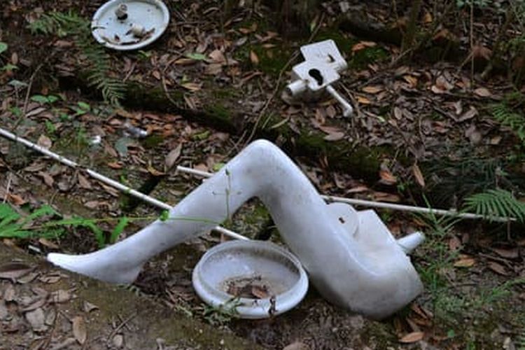 Foto : Mengenal Anomali, Istilah yang Viral karena Tren Brainrot di ...