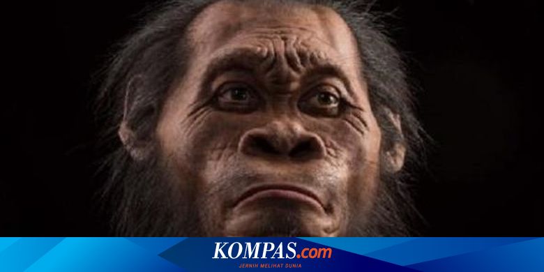Homo Naledi Mengubur Kerabatnya yang Mati 250.000 Tahun Lalu