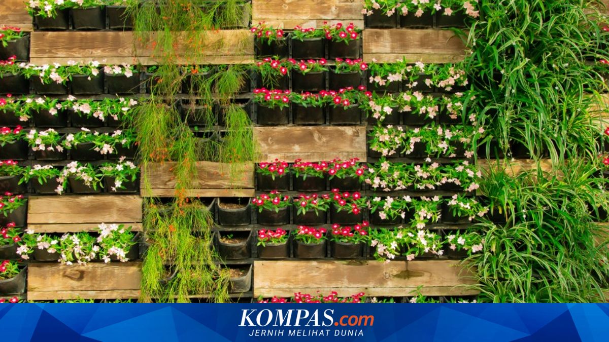 Cara Membuat Taman Vertikal Sederhana, Bisa Pakai Pot dan Botol Bekas