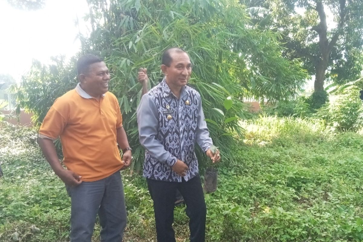 Pj Bupati Sikka Marah Banyak Anjing Berkeliaran di Wilayahnya`