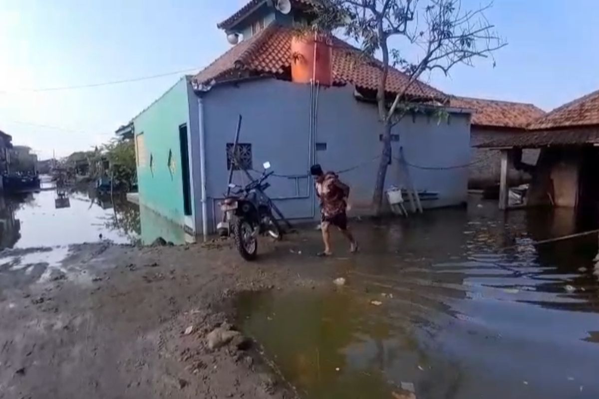 Banjir Sayung Demak Mulai Surut, Warga Keluhkan Dampak Ekonomi dan Penyakit