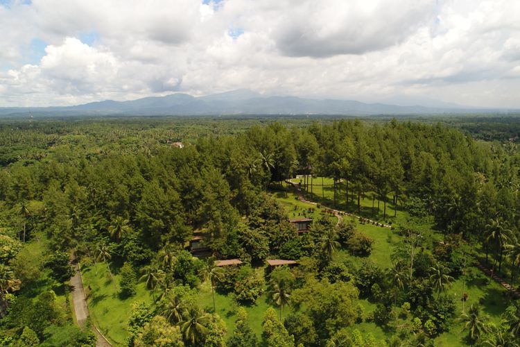 Berita Terkini Harian Jam Buka Bukit Dagi Terbaru Hari Ini - Kompas.com