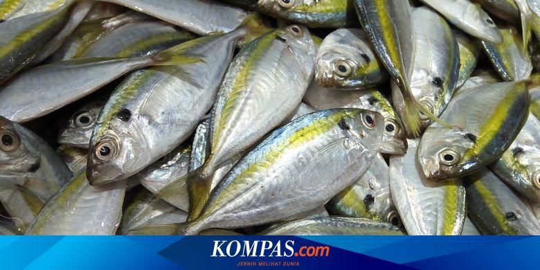 Harga Ikan di Bangka Belitung Naik Rp 50.000 Per Kilogram