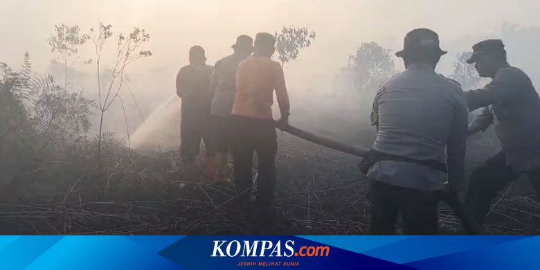 3 Daerah di Riau Berstatus Siaga Darurat Kebakaran Hutan dan Lahan