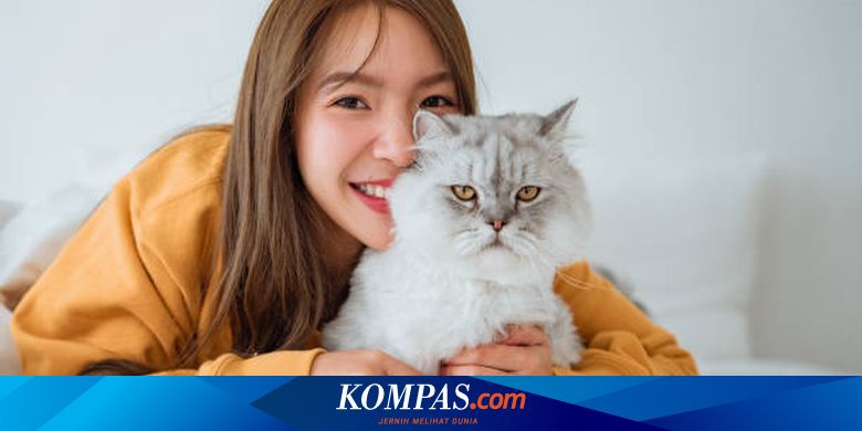 Cara Berkomunikasi dengan Kucing Lewat Kedipan Mata