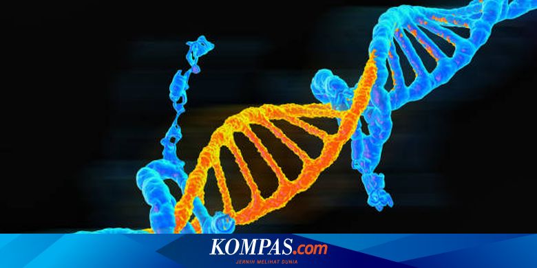 Pengertian Mutasi Genetik, Jenis-jenis, dan Contohnya