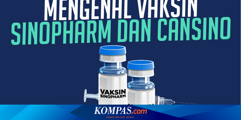 Infografik Mengenal Vaksin Sinopharm Dan Cansino