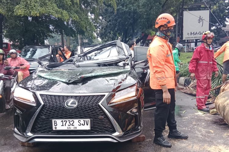 Berita Terkini Harian Mobil Lexus Tertimpa Pohon Di Pondok Indah ...