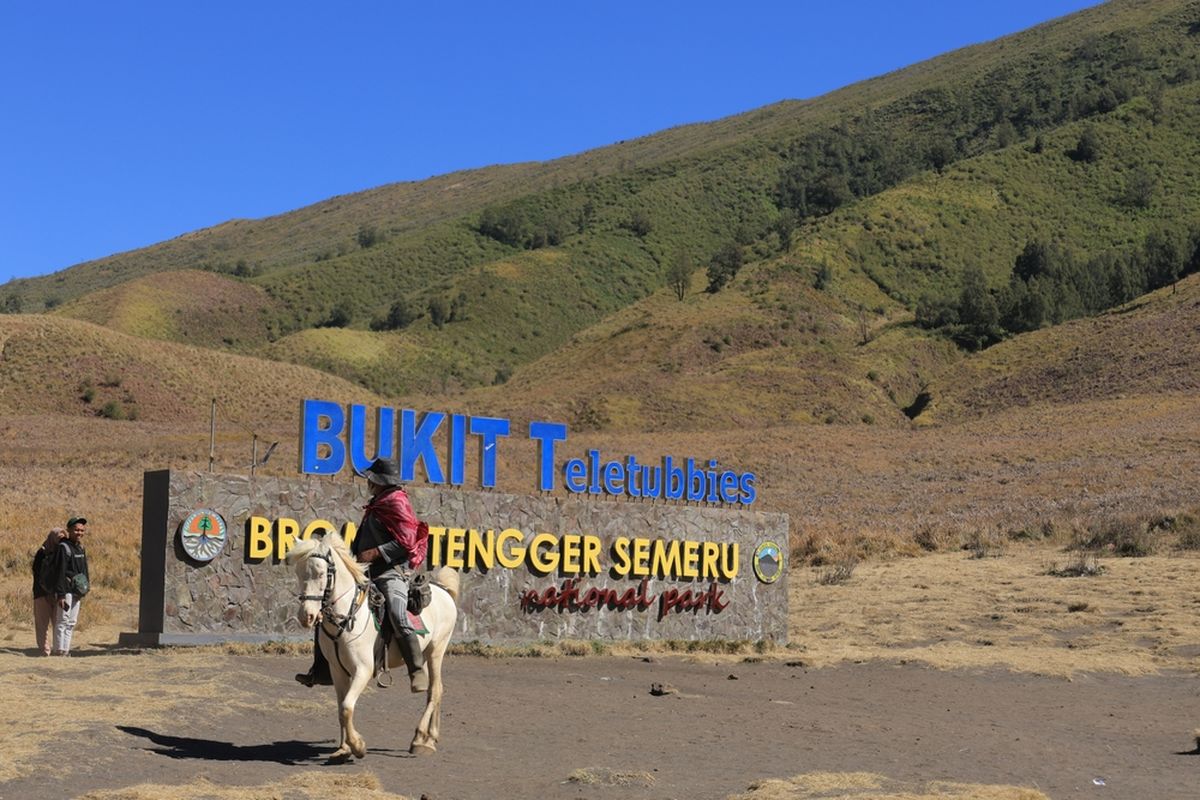 Kronologi Kebakaran di Bukit Teletubbies dan Informasi Penutupan Wisata ... Kronologi Kebakaran di Bukit Teletubbies dan Informasi Penutupan Wisata ...