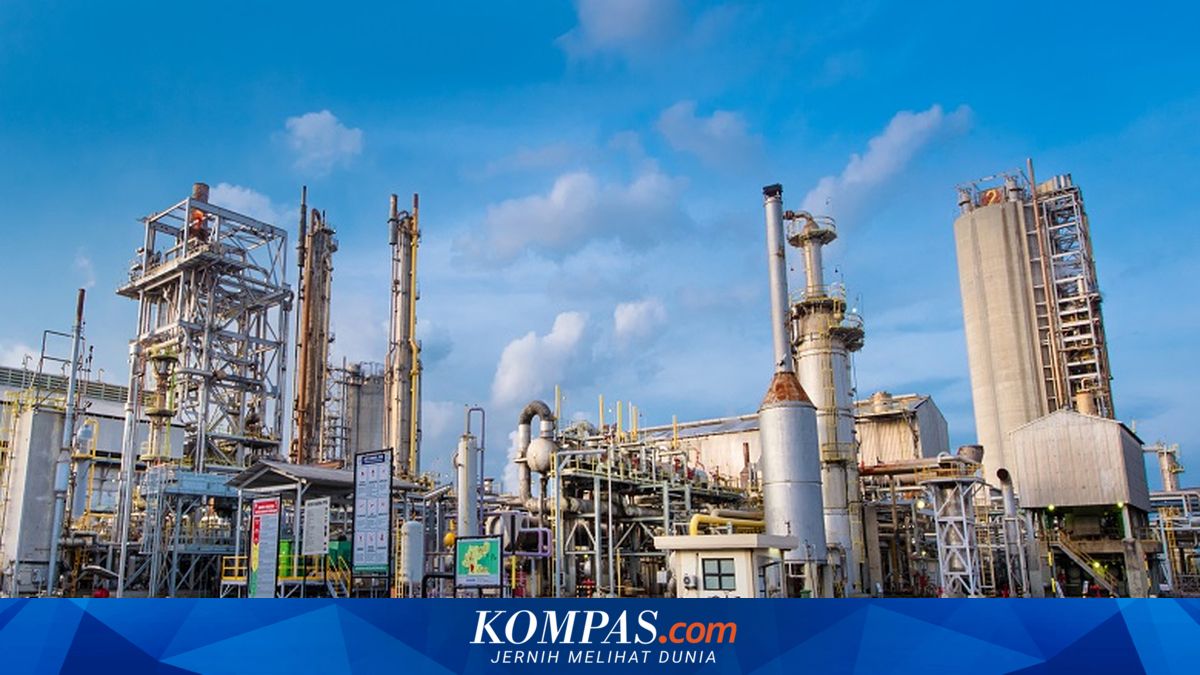 KEPP Otsus Papua Sebut Pabrik Pupuk di Fakfak Bakal Tingkatkan ...