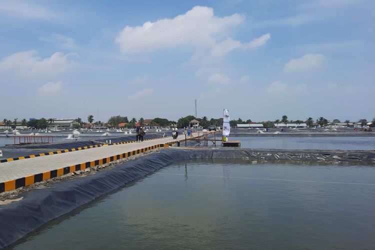 Tambak Udang Sisa Orde Baru "Disulap" Jadi Tambak Nila Salin